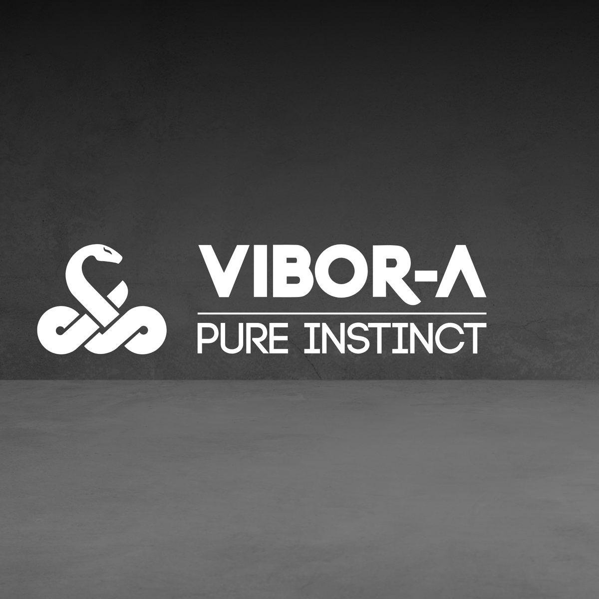 Vibor-A: Innovation and passion in every paddle stroke