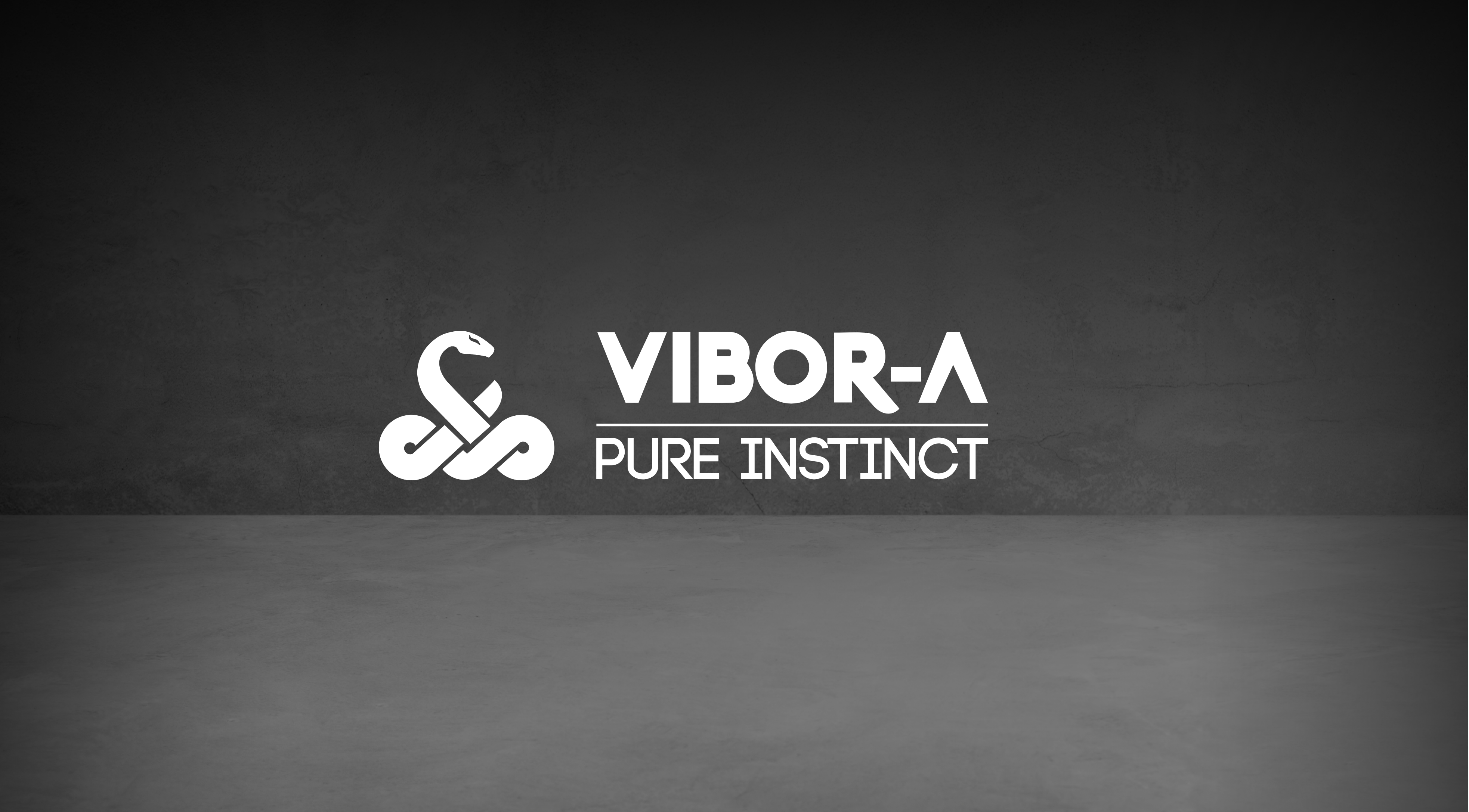 Vibor-A: Innovation and passion in every paddle stroke